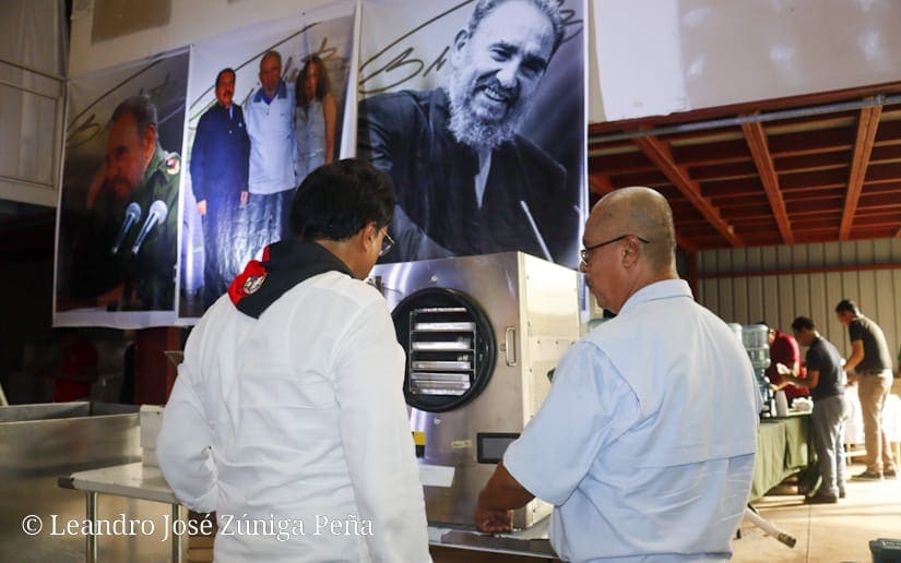 Gobierno de Nicaragua relanza Programa de Desarrollo de Moringa ...