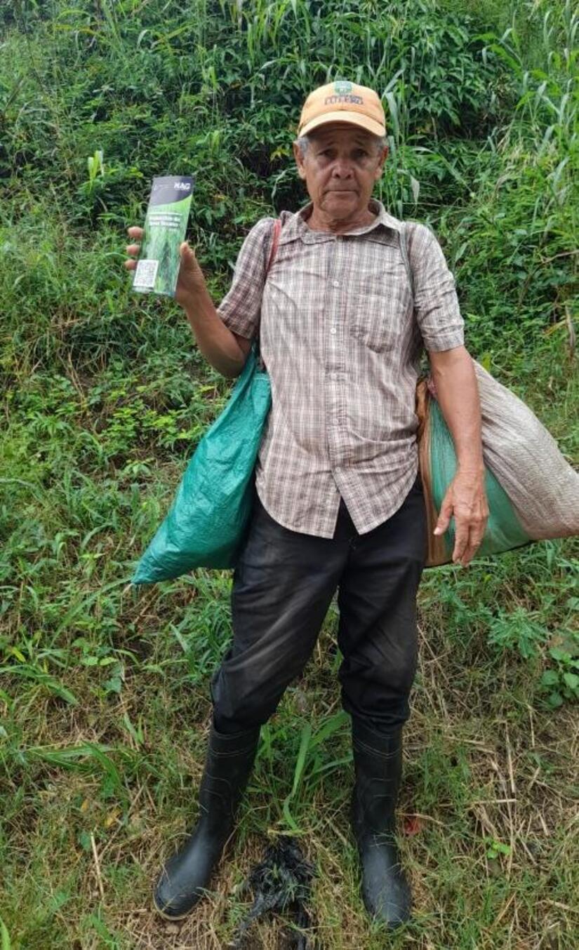 Desarrollan siembra de apante para fortalecer seguridad alimentaria en ...