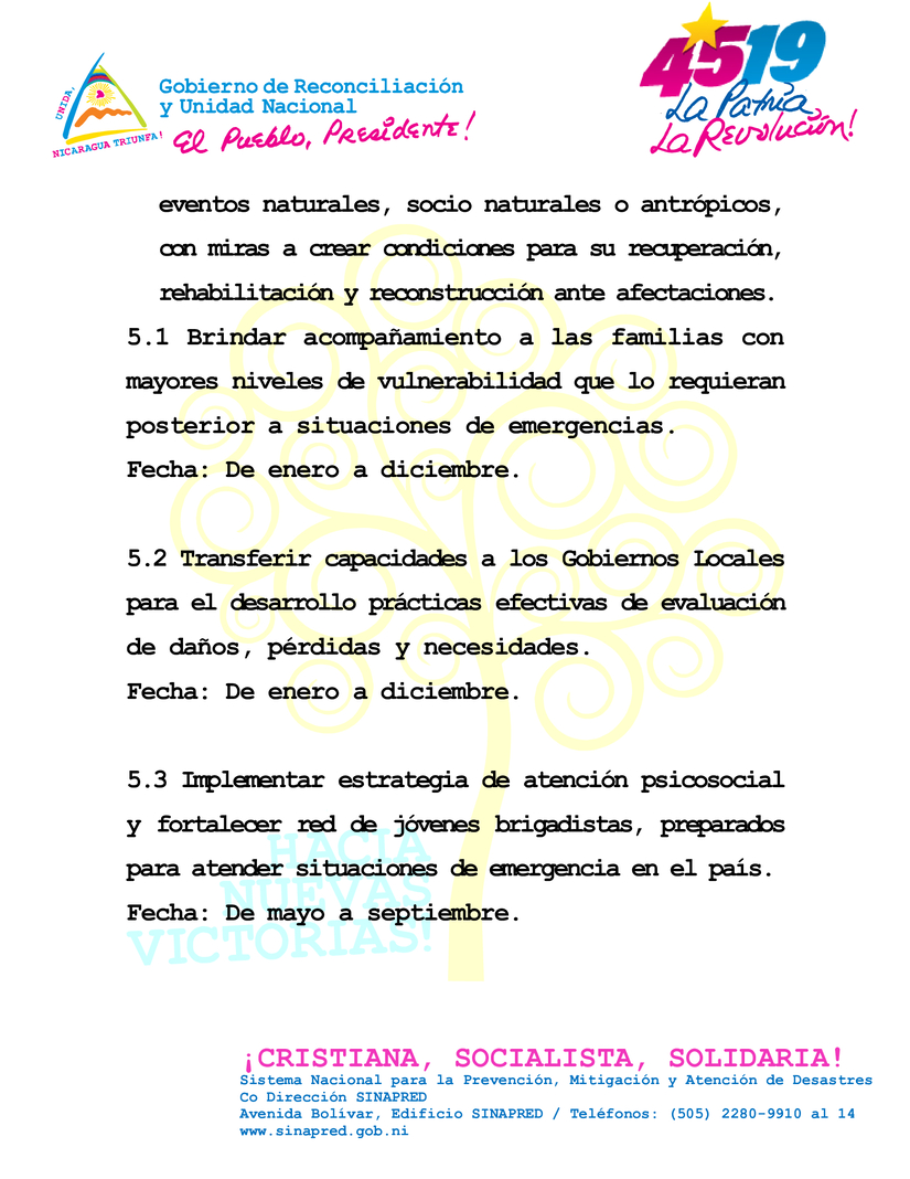 Conozca los ejes estratégicos y lineas de acción del Sinapred del año 2024