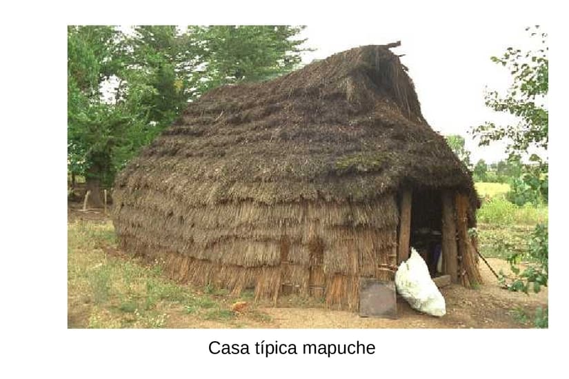 El Pueblo Mapuche: Una historia de injusticia y discriminación