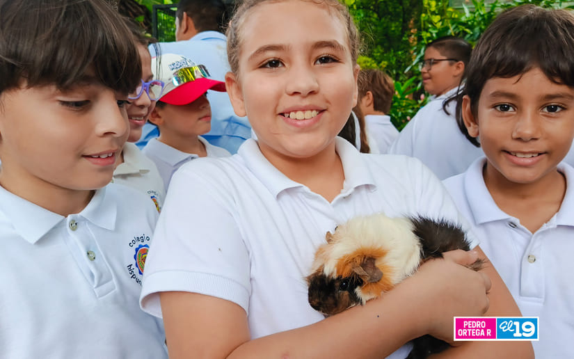 Programa Amor para los Más Chiquitos celebra mañana ambiental en el ...