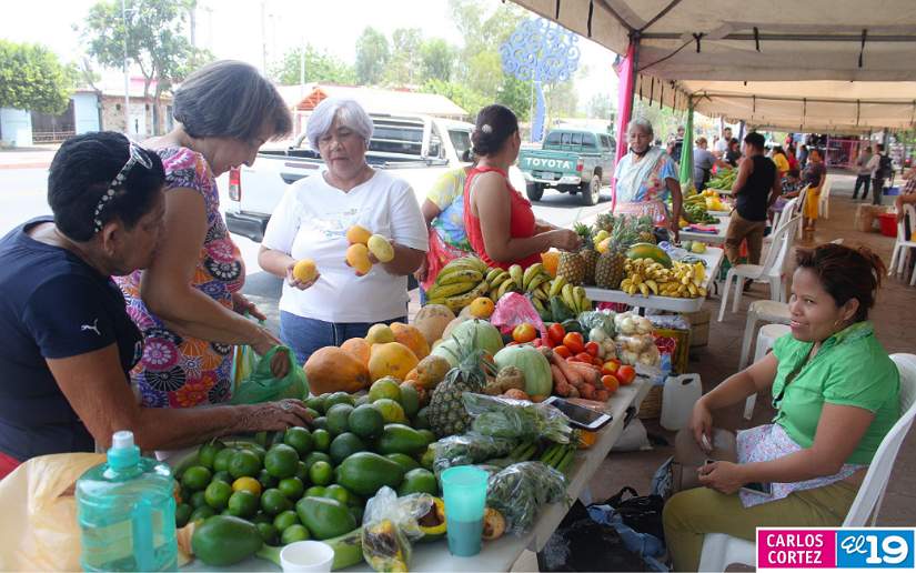 Mercadito Campesino, todo un éxito en Avenida Bolívar a Chávez