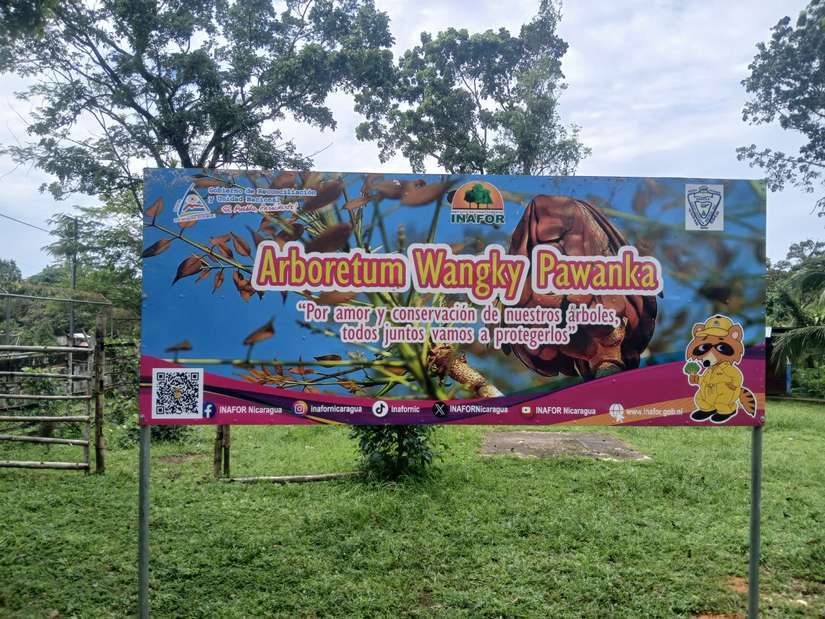 Buen Gobierno Sandinista inaugura Arboretum en Waspam, Región Autónoma ...