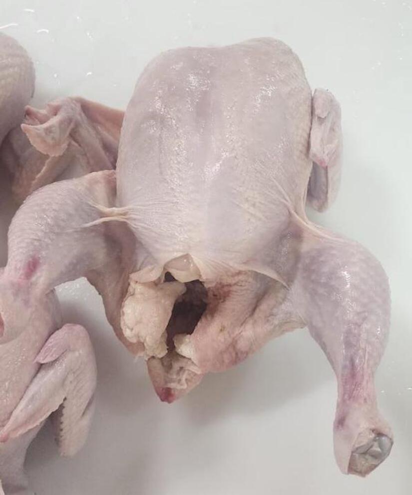 Producción nacional de carne de pollo alcanza 394.6 millones de libras ...