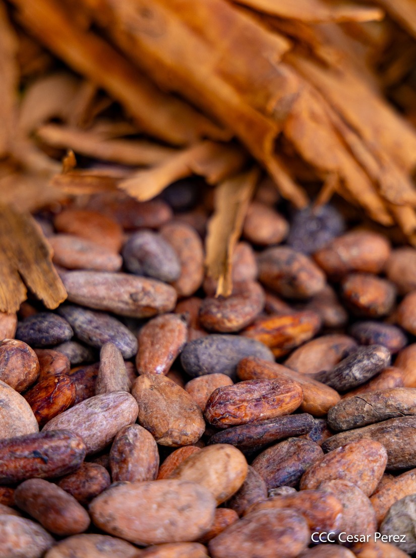 Promoción de la gastronomía y cultura nicaragüense: Celebran Festival ...
