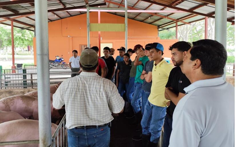 Programa Porcino Cocibolca fortalece capacidades productivas en el ...