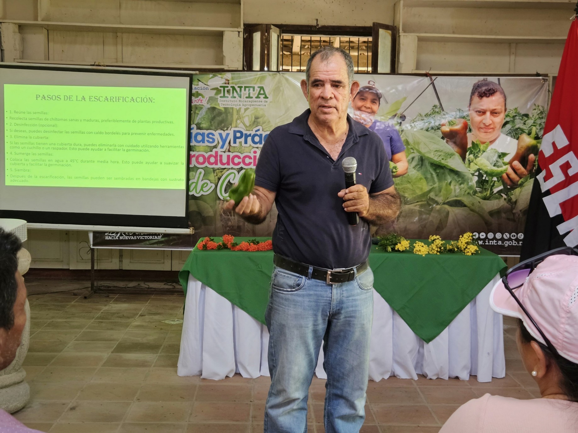 INTA presenta técnica para mejorar germinación de semilla de chiltoma ...