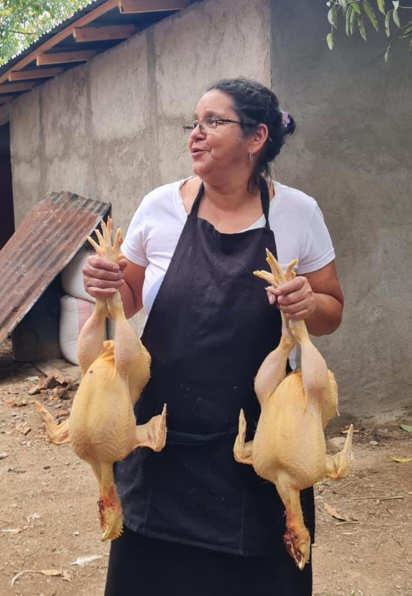 Nicaragua: Producción de carne de pollo supera las 320 millones de libras