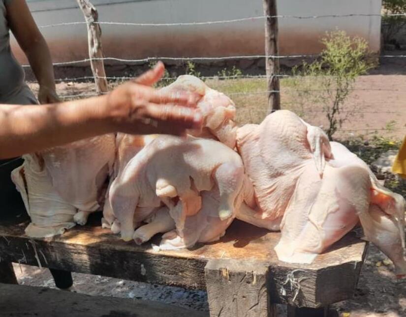 Producción de carne de pollo en Nicaragua alcanza 284.7 millones de ...