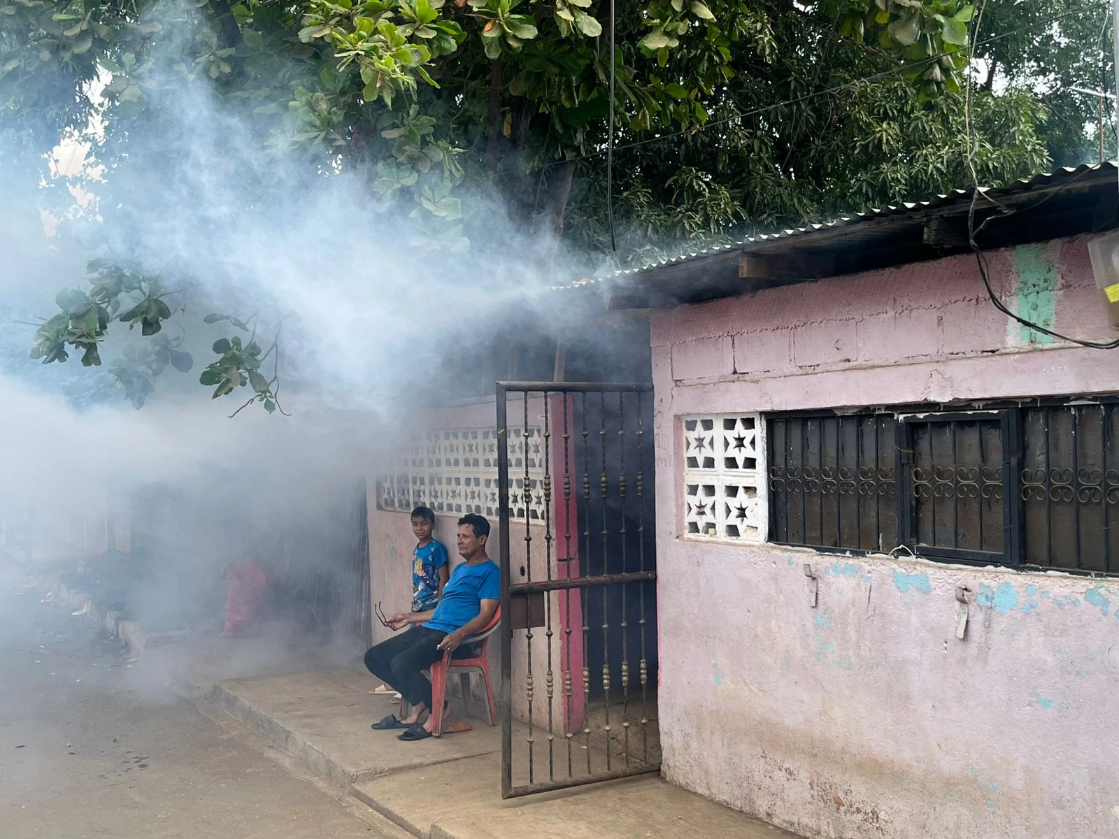Natular y fumigación: la combinación eficaz para matar al zancudo