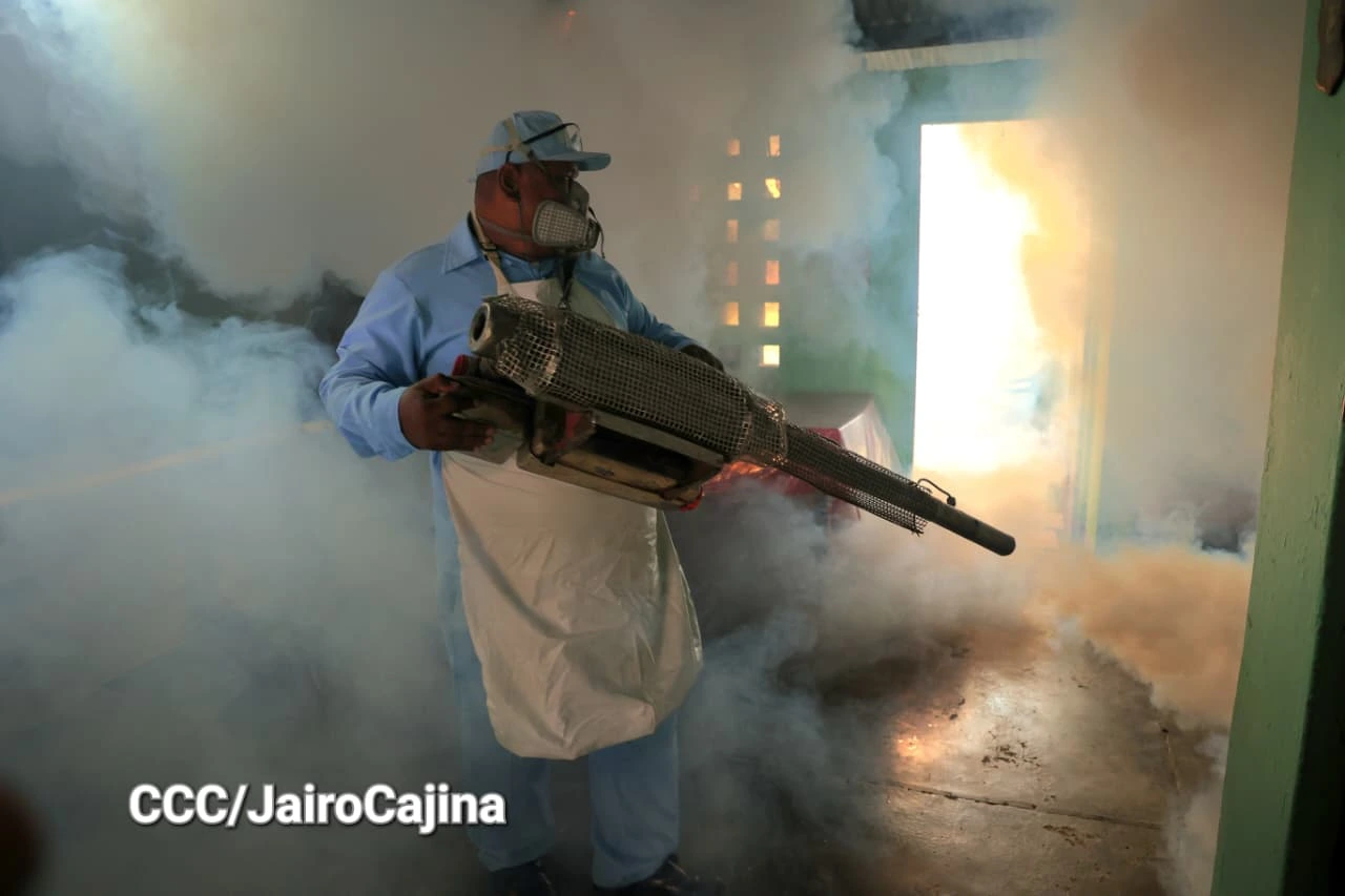 Aplicación de Natular y fumigación refuerzan combate al mosquito ...