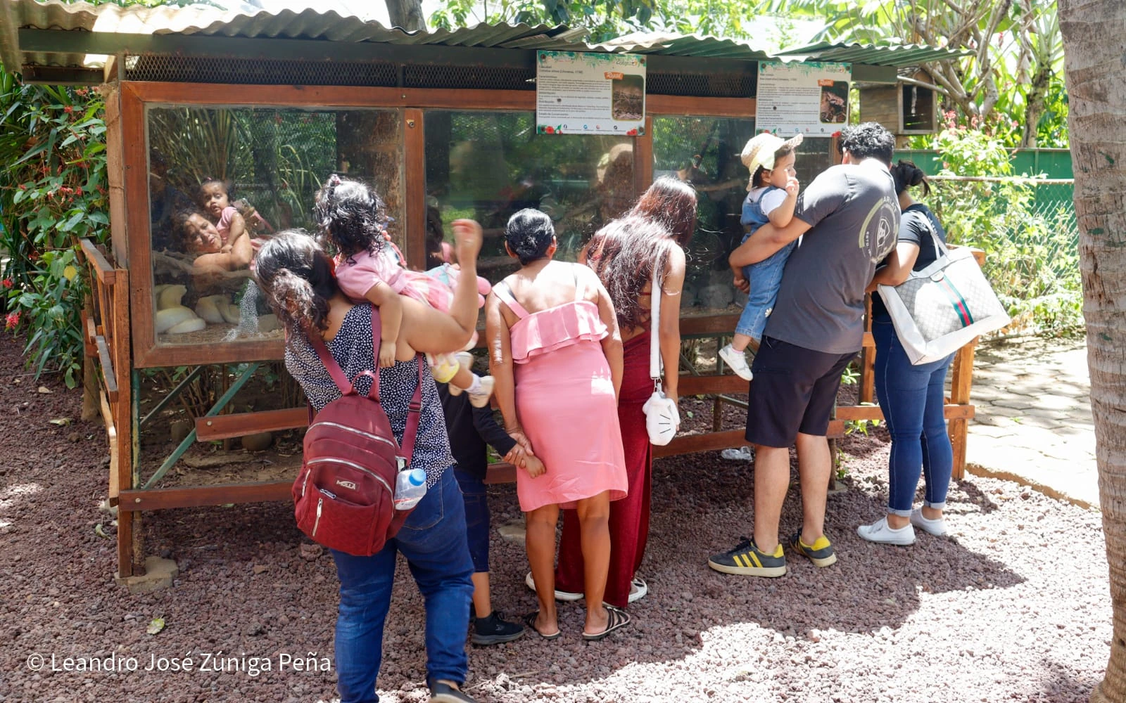 Parque Zoológico Nacional: destino para recrearse y aprender de la ...