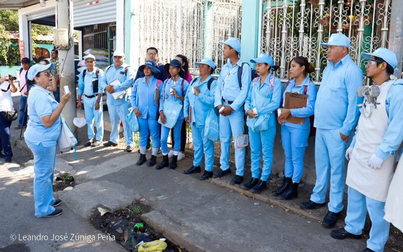 ¿Qué es Natular y cómo ayuda a eliminar el zancudo transmisor del dengue?